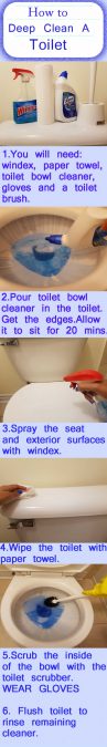 How to Clean A Toilet - The Basic Essential Steps - Vivid Cleaning